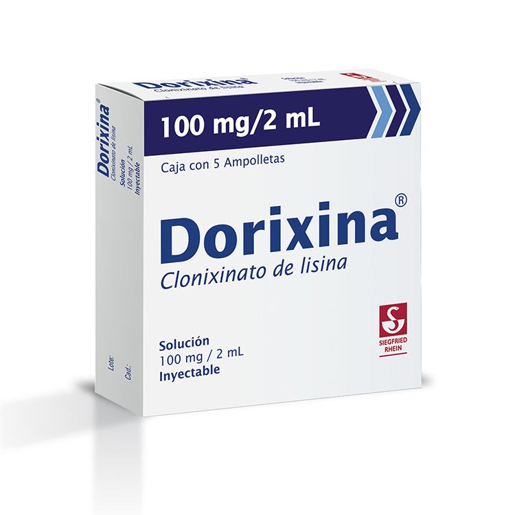 Dorixina